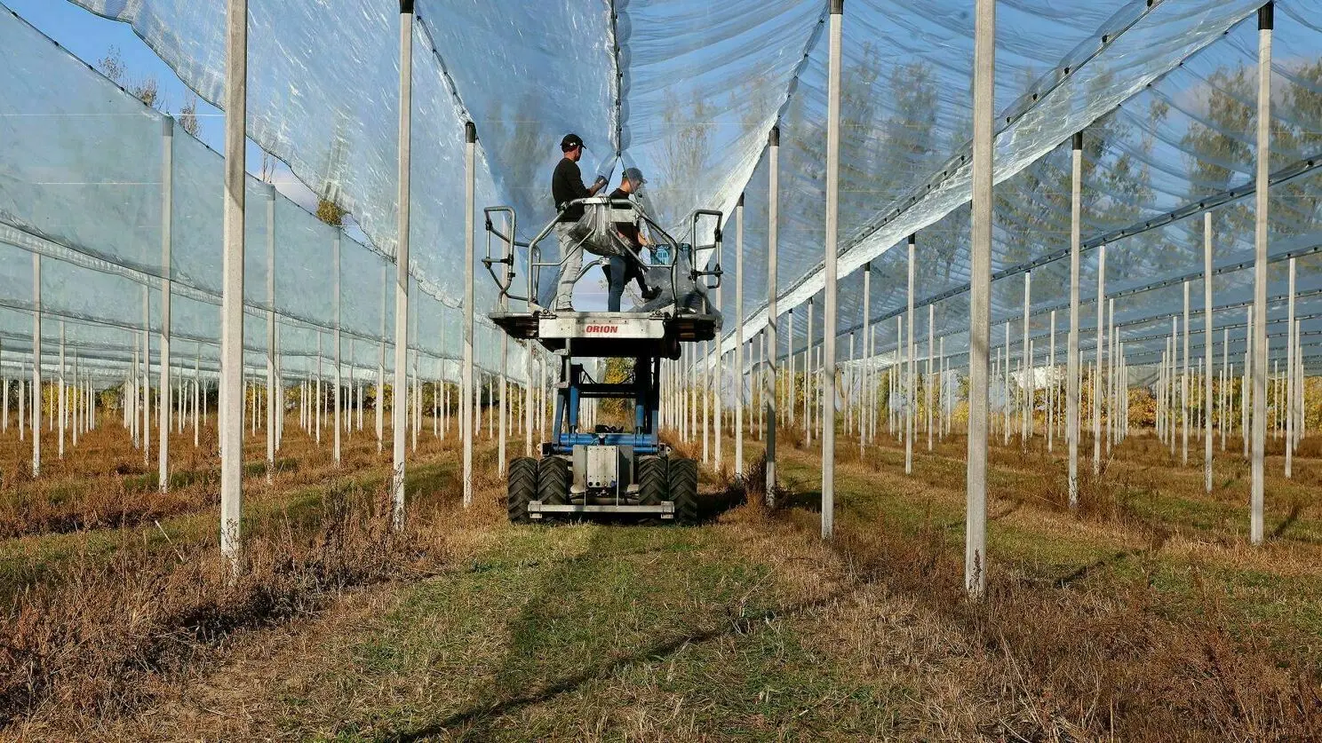 Obstbau Klimawandel: Wie in Frankfurt (Oder) bald Apfelbäume beregnet ...
