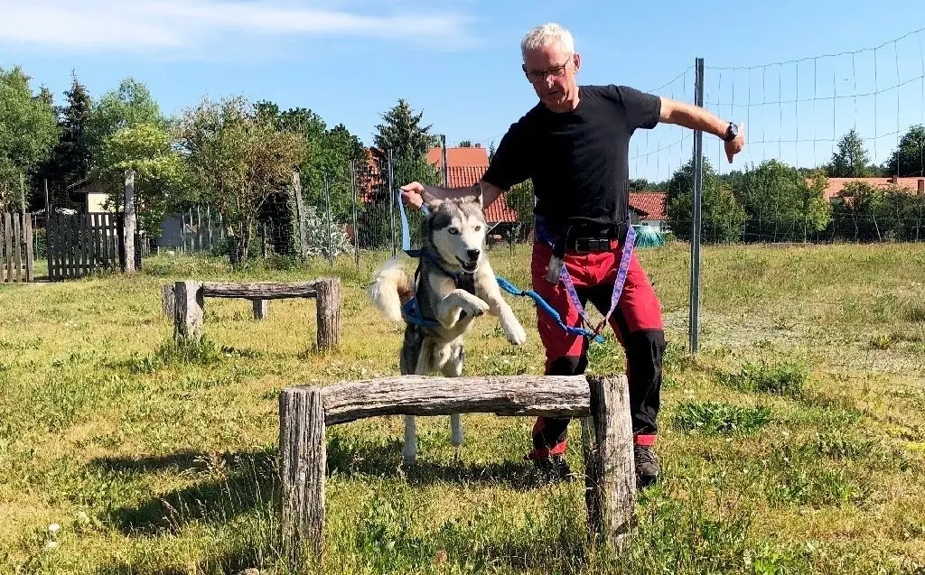 Freizeit: In Frankendorf gibt es wieder Touren mit Huskys | moz.de