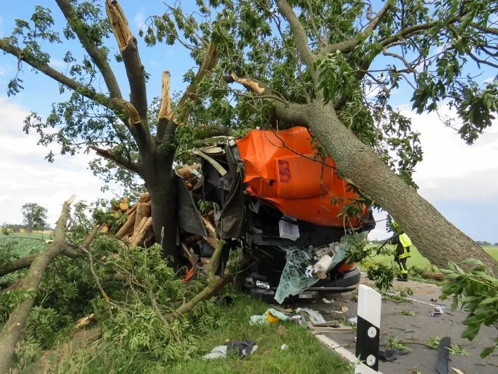 Unfall: Frontalcrash zwischen Damme und Liepe | moz.de