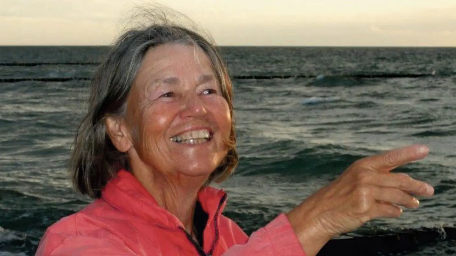 Literatur: Barbe Maria Linke erzählt in „Auszug“ von Freundschaft und ...