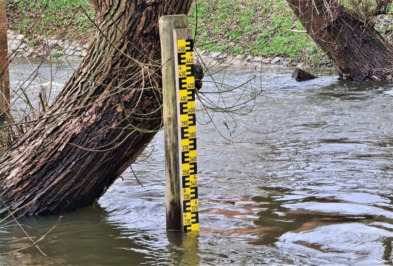 Hochwasser in Beeskow: Hoher Wasserstand der Spree – wie wirkt sich der ...