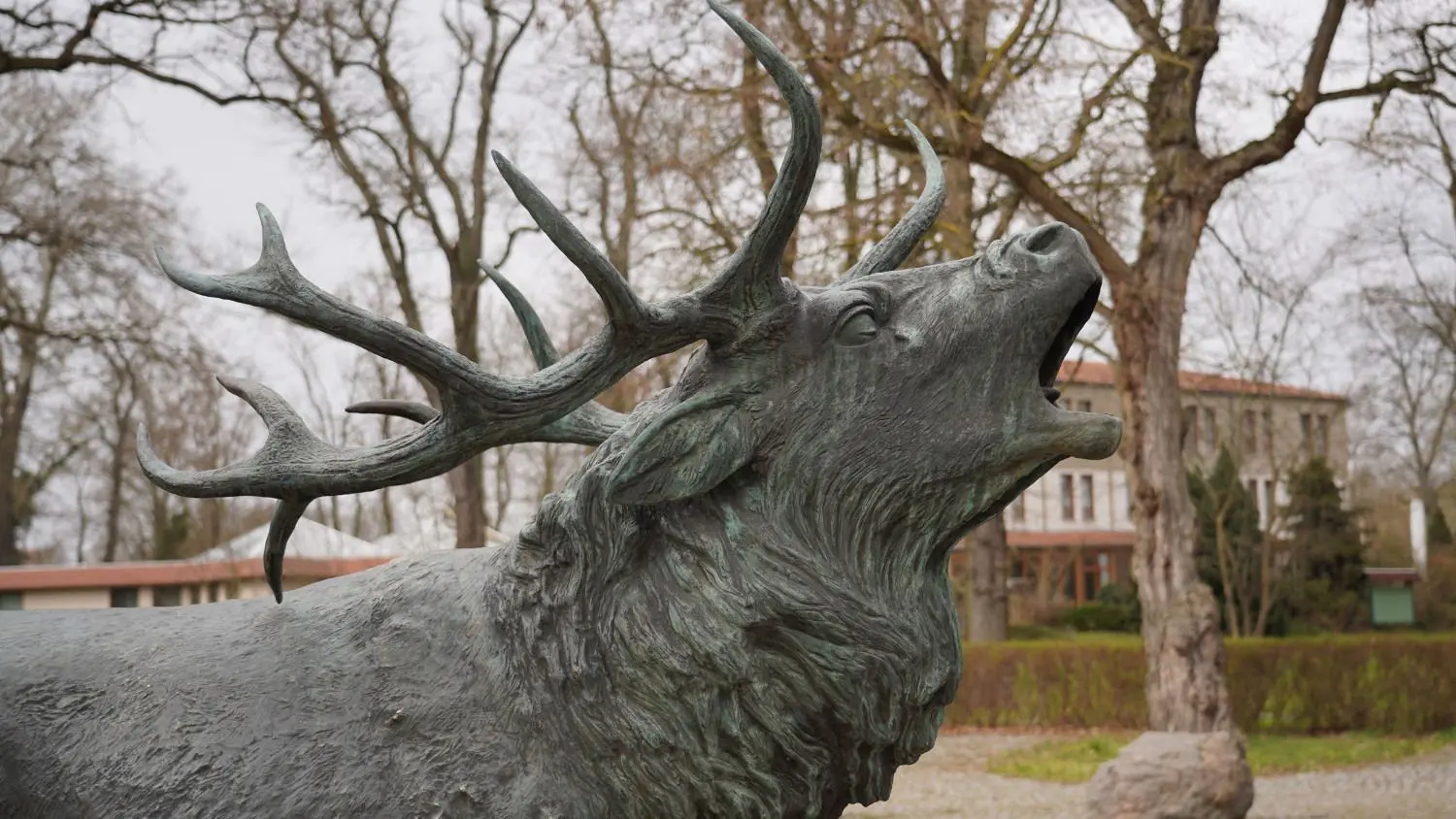 Tierpark Angermünde: Zoo braucht mehr Geld – das sind die Gründe | moz.de