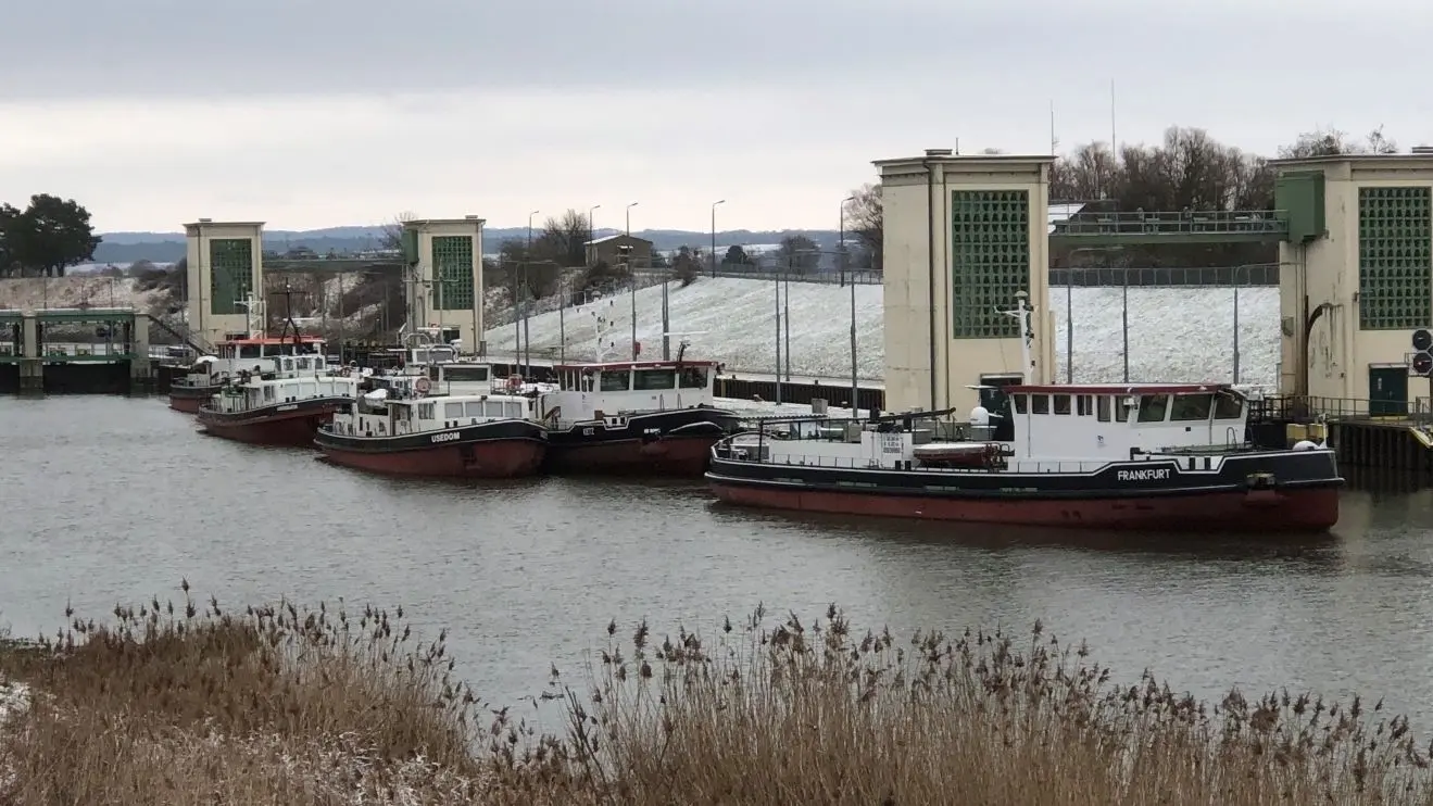 Hochwasser und Frost an der Oder: Eisbrecher warten auf Einsatz in ...