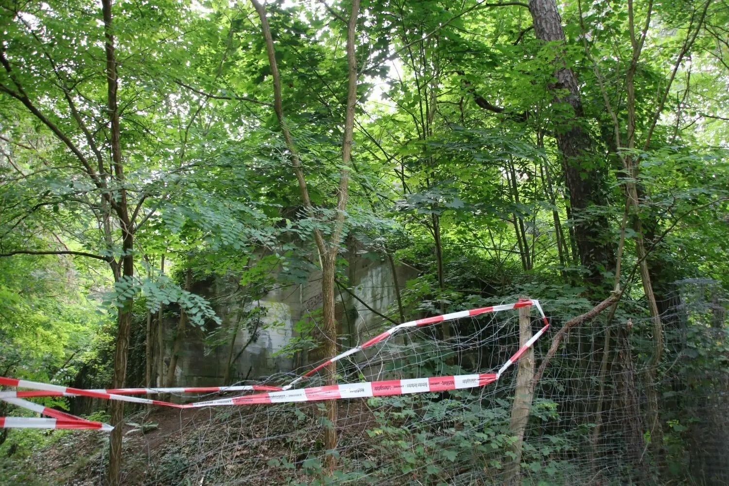 Mord in Oranienburg: Neuer Prozess zum Tod von Bianca S. – das erwartet ... Mord in Oranienburg: Neuer Prozess zum Tod von Bianca S. – das erwartet ...