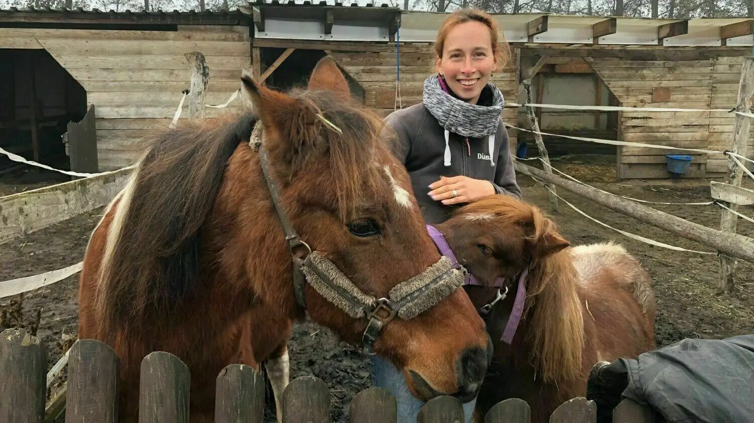 Coco Ranch in Zinndorf: Noch immer kein Land in Sicht – sind Pferd ...