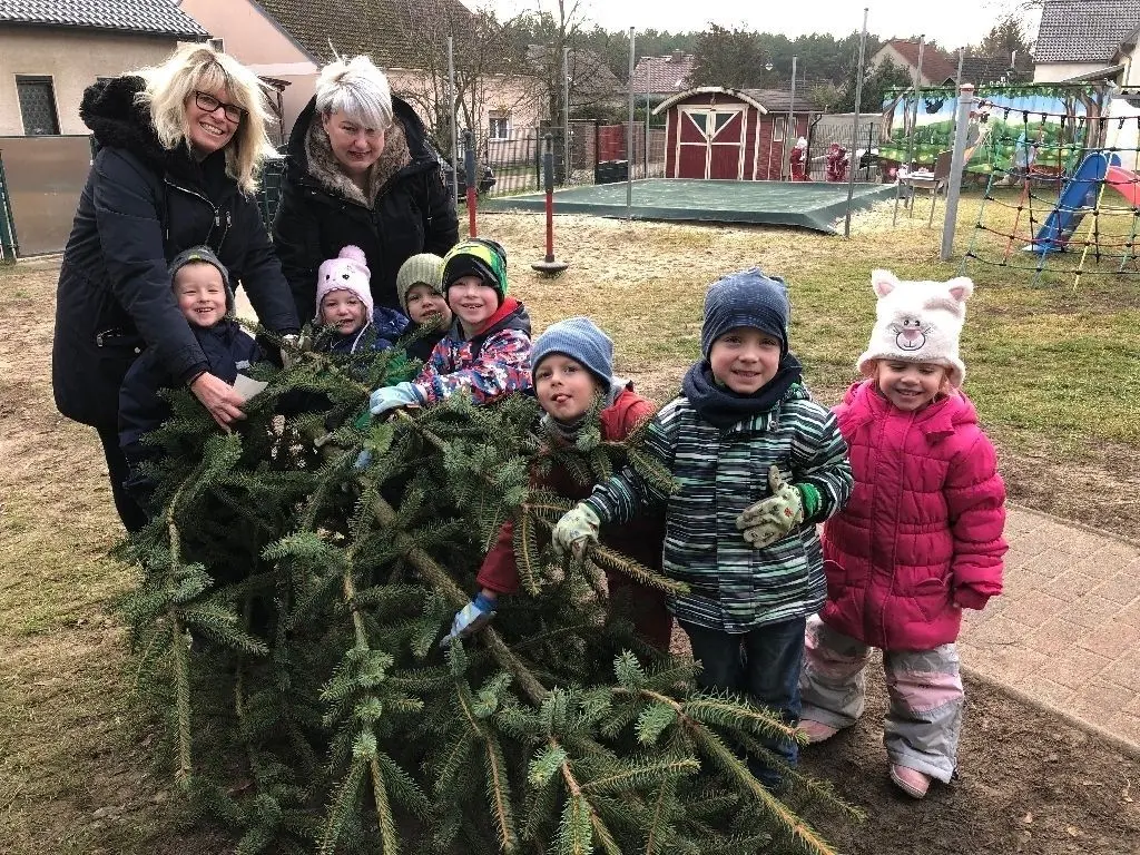 Weihnachten: Kinder hieven Tannenbaum in die Kita | moz.de