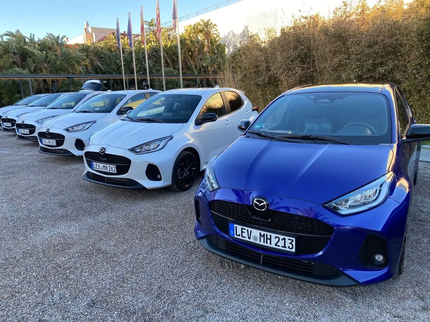 Mazda2 Hybrid: Frisch geliftet - Verbrenner plus E-Motor im ...