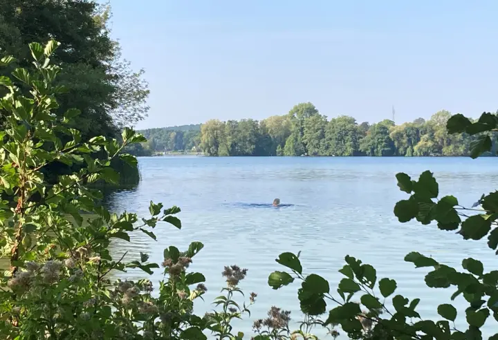 Bad Saarow am Scharmützelsee: Parken, Sehenswürdigkeiten, Ausflüge mit ...