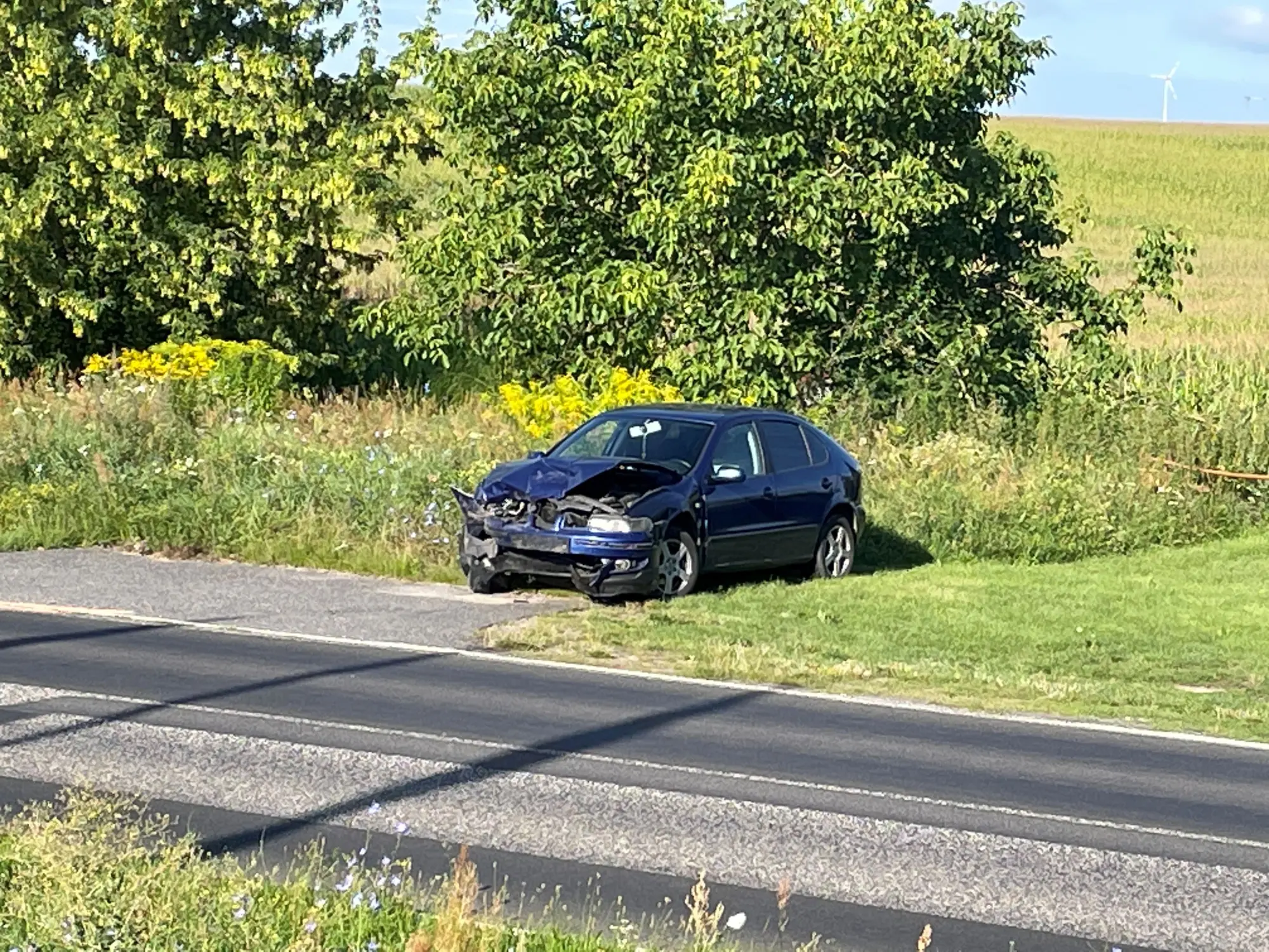 Nach Unfall bei Lebus: Auto verrottet am Straßenrand – Amt reagiert mit ...