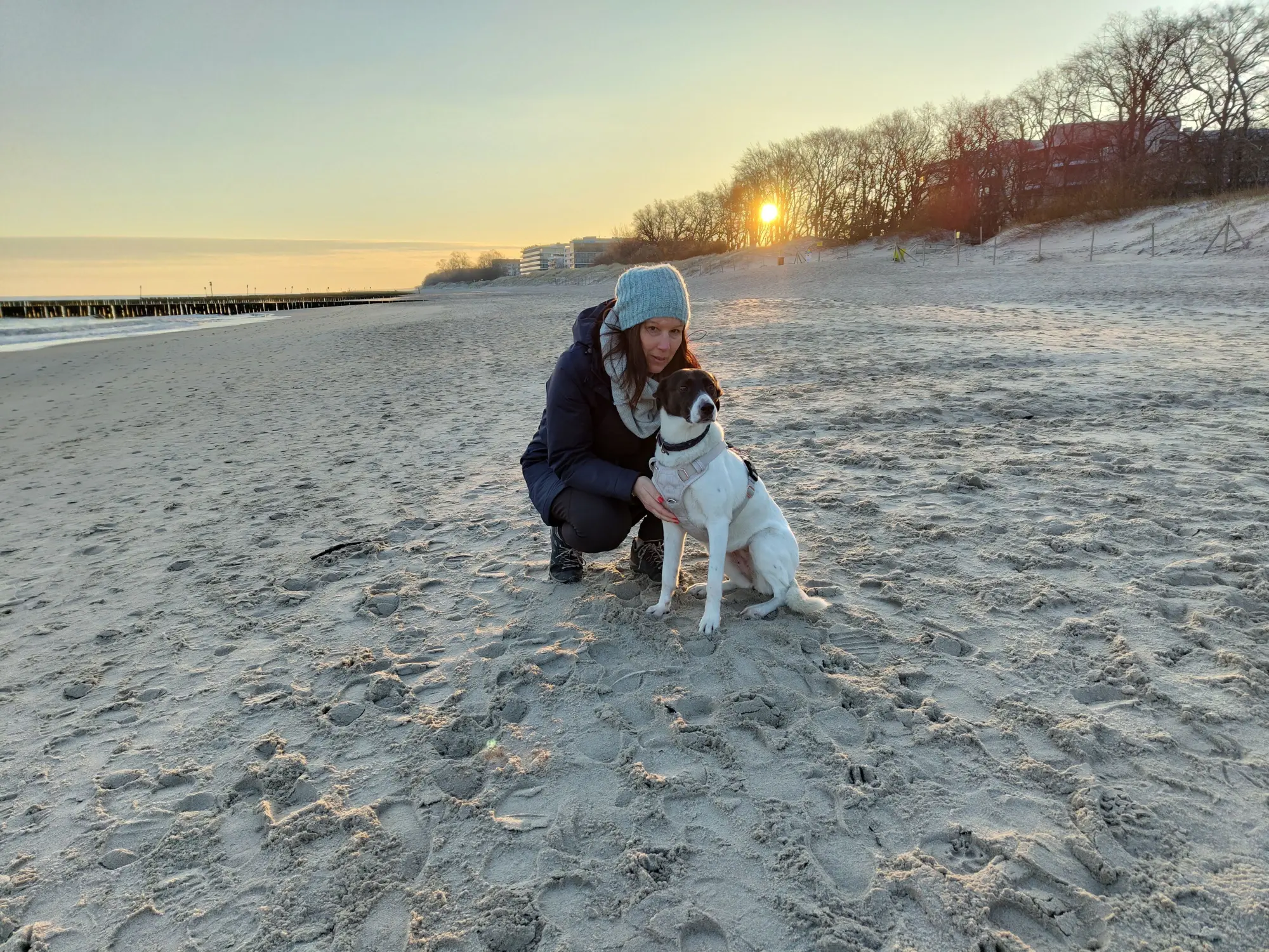 Welthundetag 2024: Hund Lumi kam aus Tierheim in Griechenland in ein ...