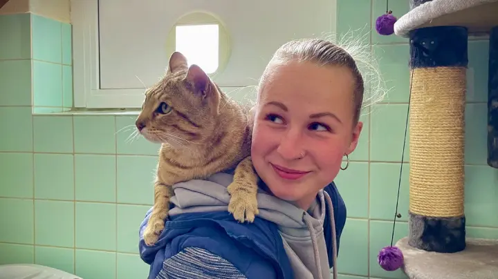 Savannah-Katze Wilma und ihre Kitten: Wer hat Platz und gibt ihnen ein ...
