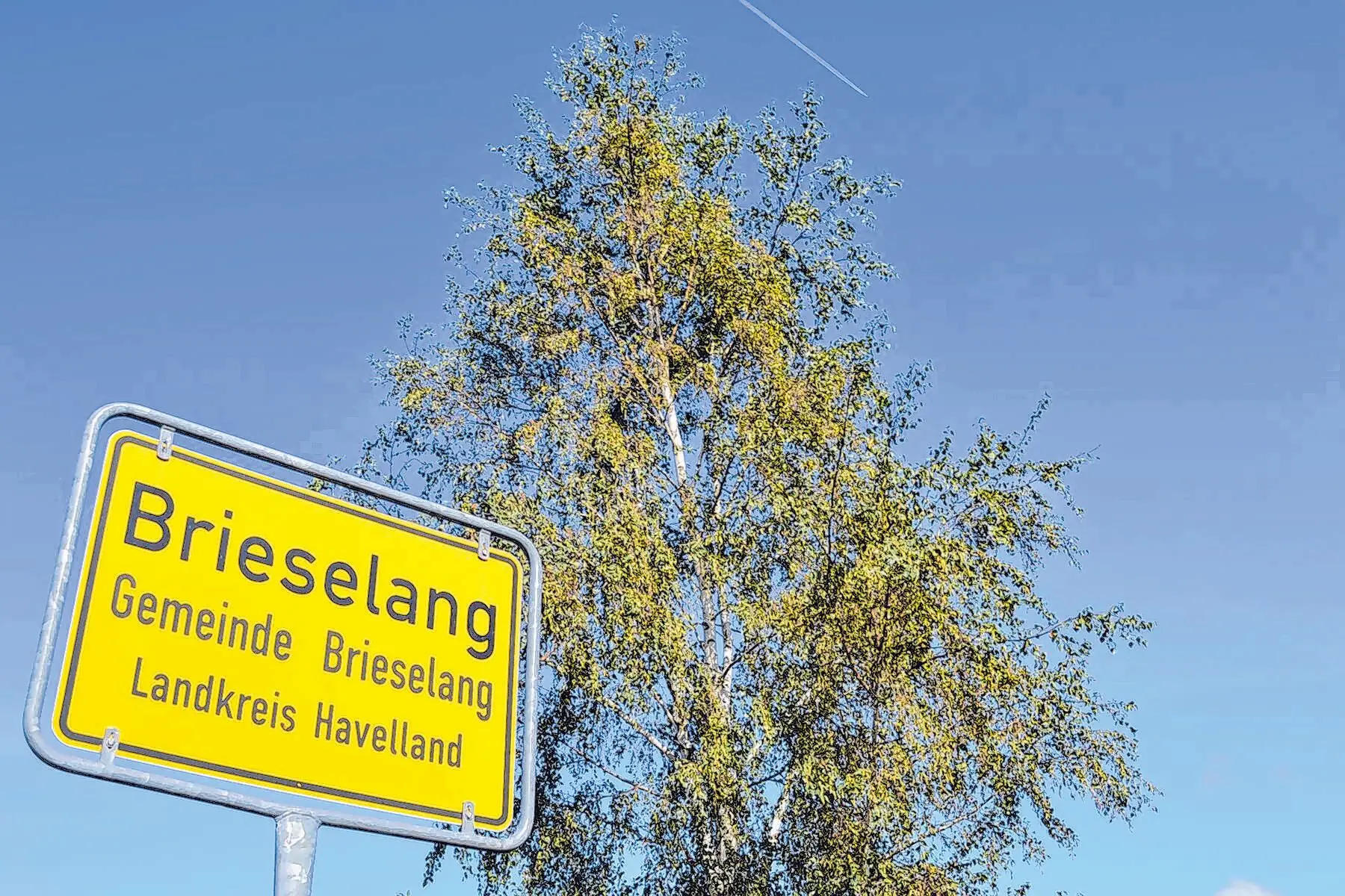 Mein Brieselang: 5.000 Euro für Vereine | moz.de